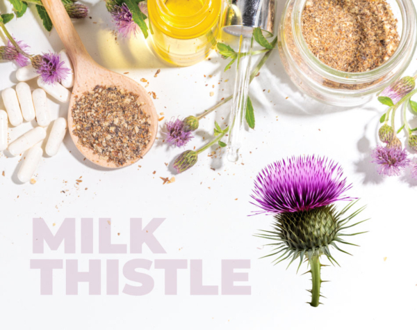 Support liver health with a milk thistle supplement - Dis-Chem Living Fit