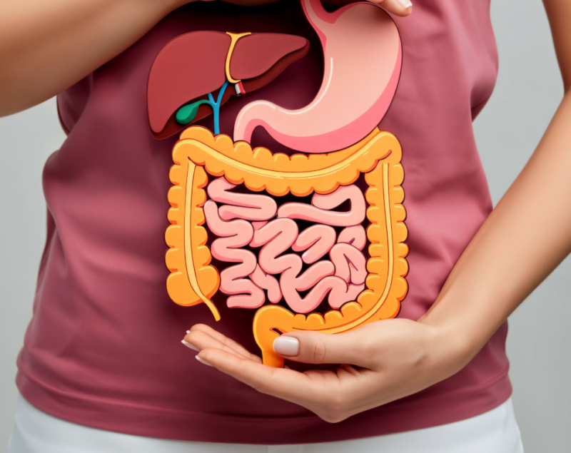 Cleanse your gut for optimal digestion - Dis-Chem Living Fit