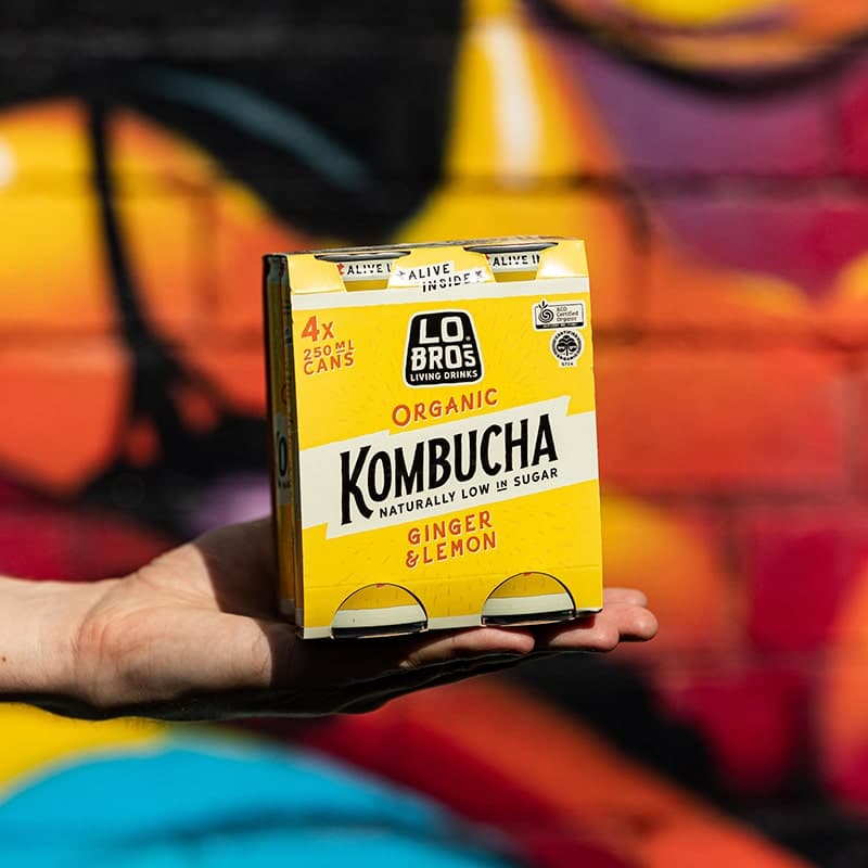 Authentically brewed organic kombucha - Dis-Chem Living Fit