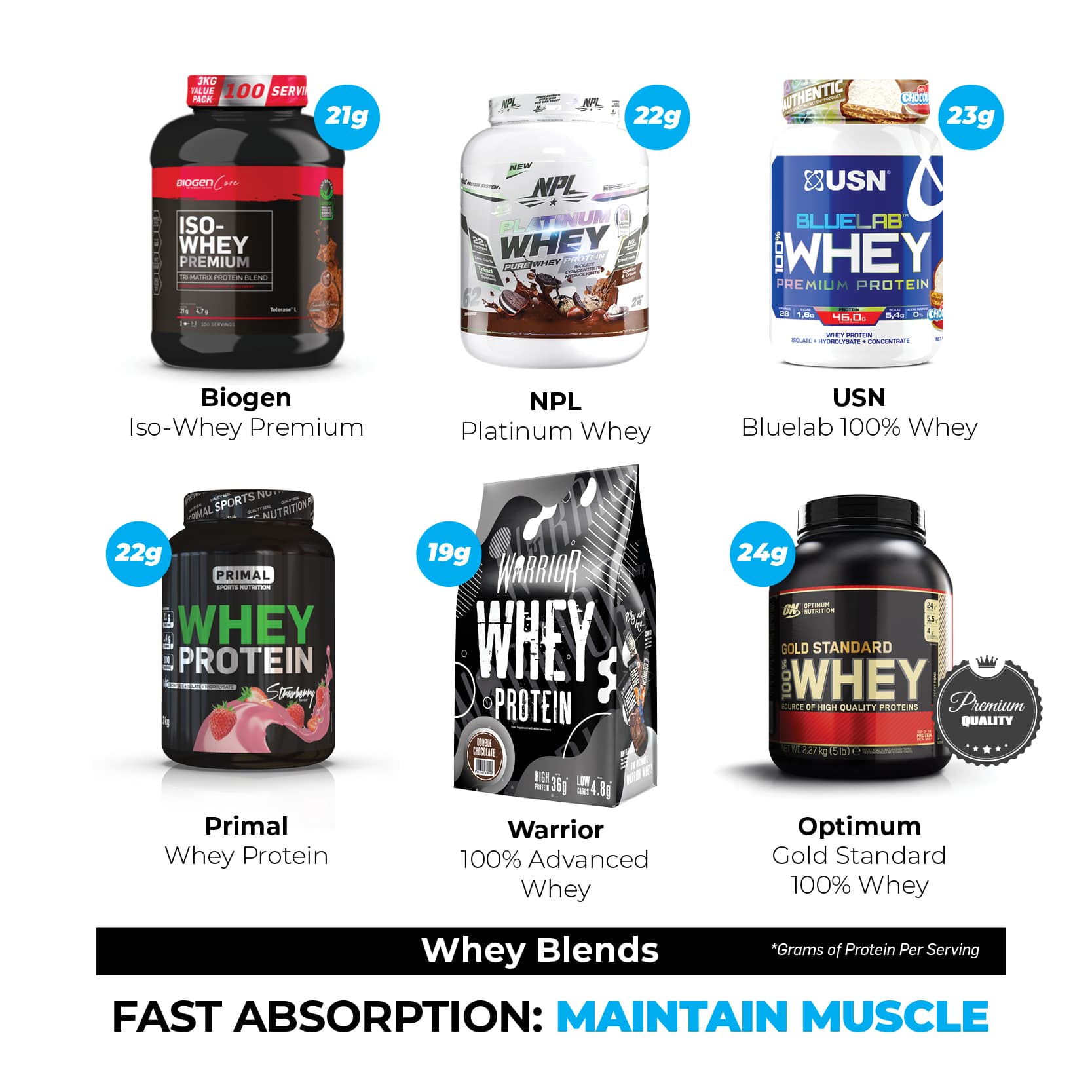 Protein absorption rates explained - Dis-Chem Living Fit