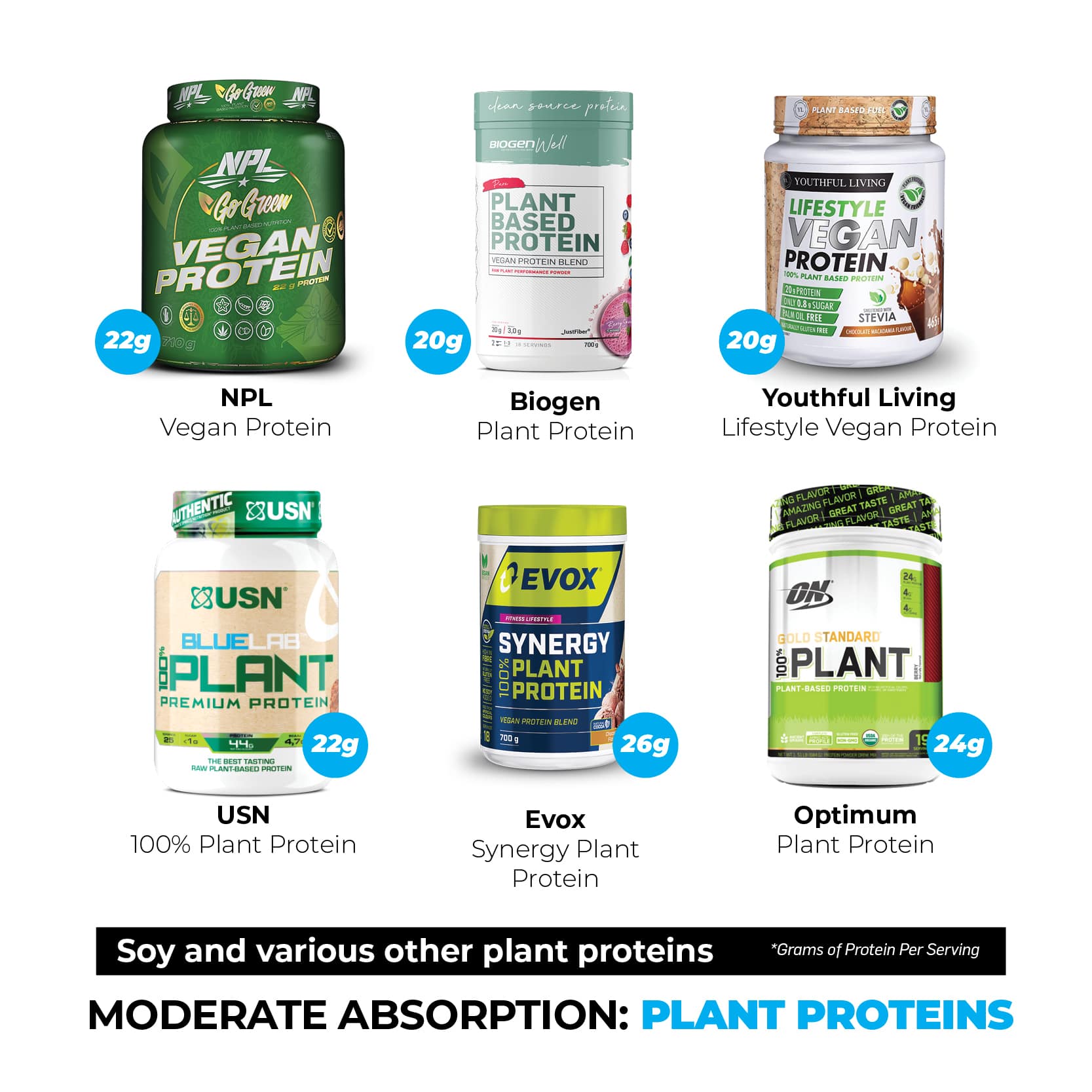 Protein absorption rates explained - Dis-Chem Living Fit